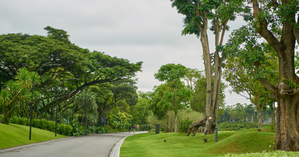 Explorando la Maravilla Natural: Parque Metropolitano de León | indigital